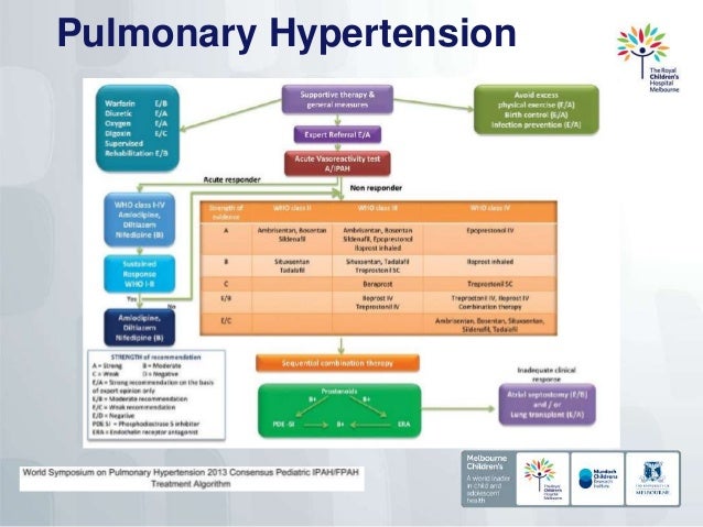 Pulmonary hypertension and ICU therapies by Dr Bennett Sheridan