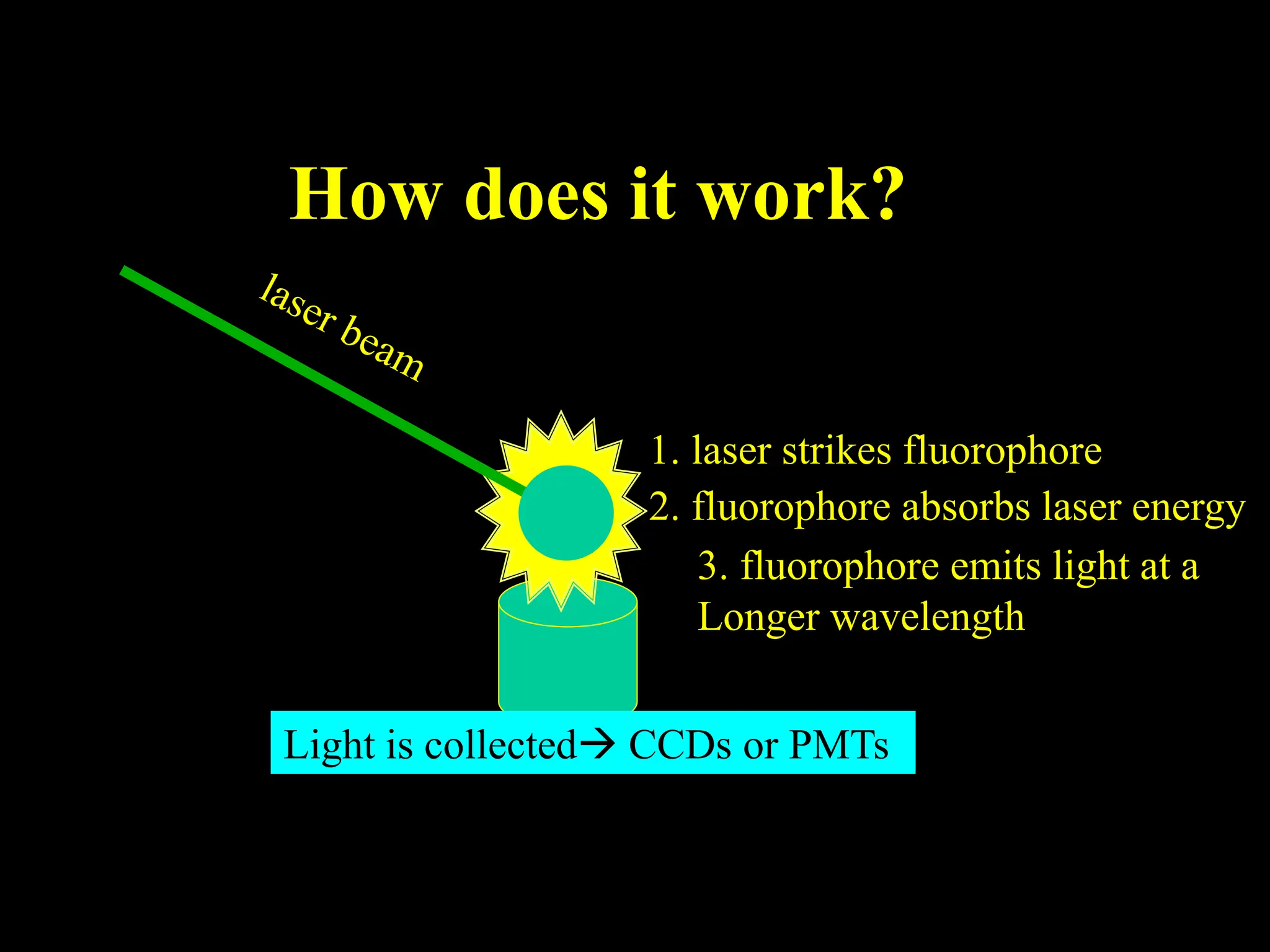 Fluorescence Principles -a brief introduction | PPT | Chemistry | Science