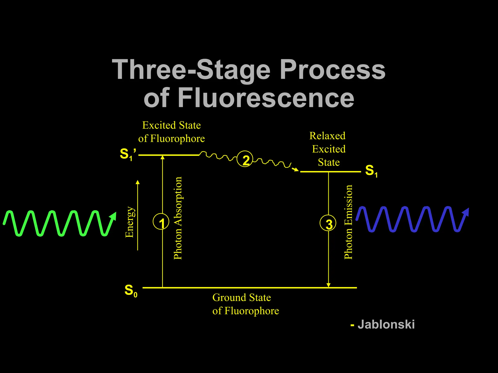 Fluorescence Principles -a brief introduction | PPT | Chemistry | Science
