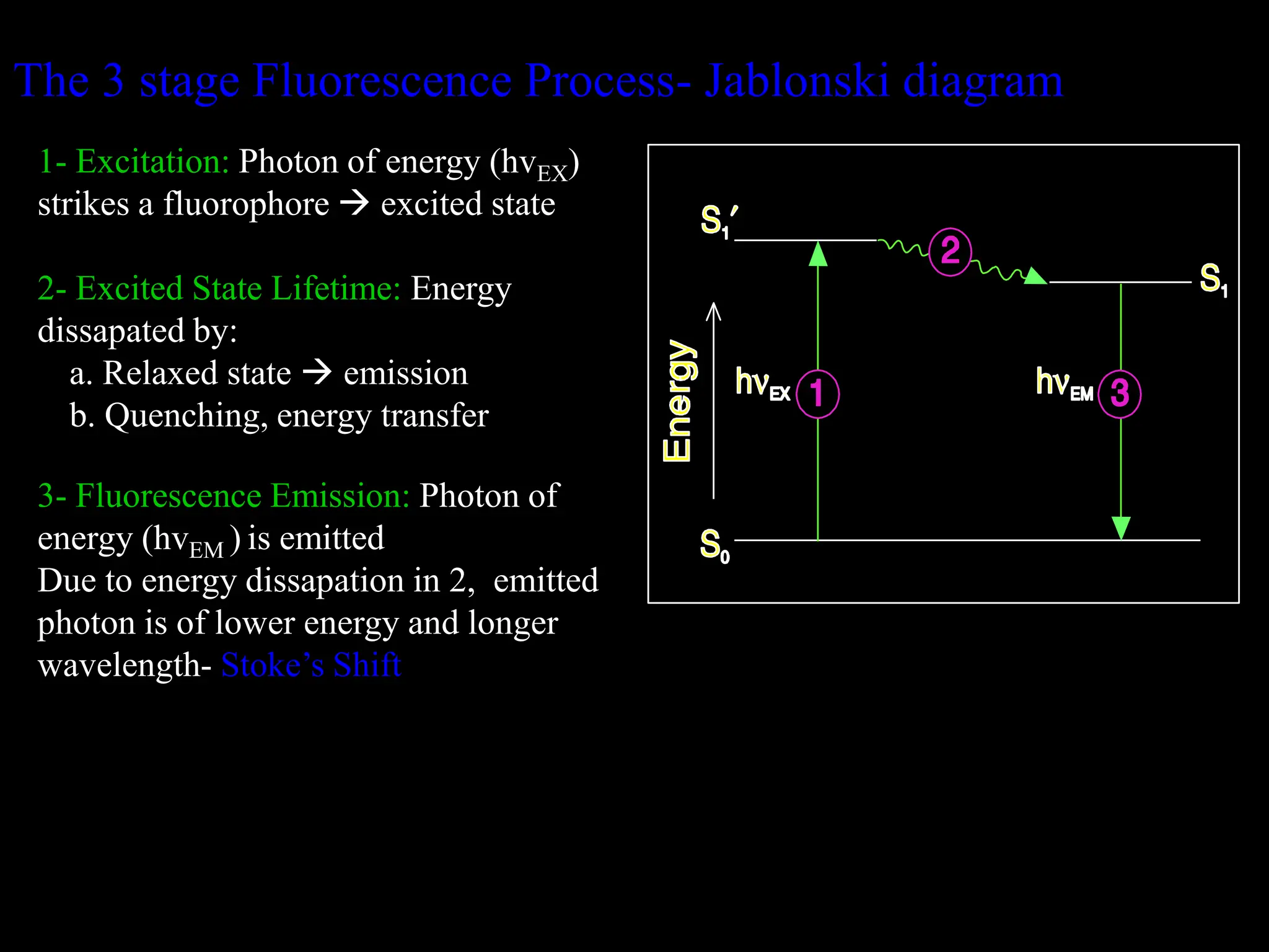 Fluorescence Principles -a brief introduction | PPT | Chemistry | Science