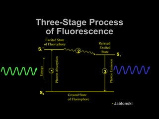 Fluorescence Principles -a brief introduction | PPT | Chemistry | Science