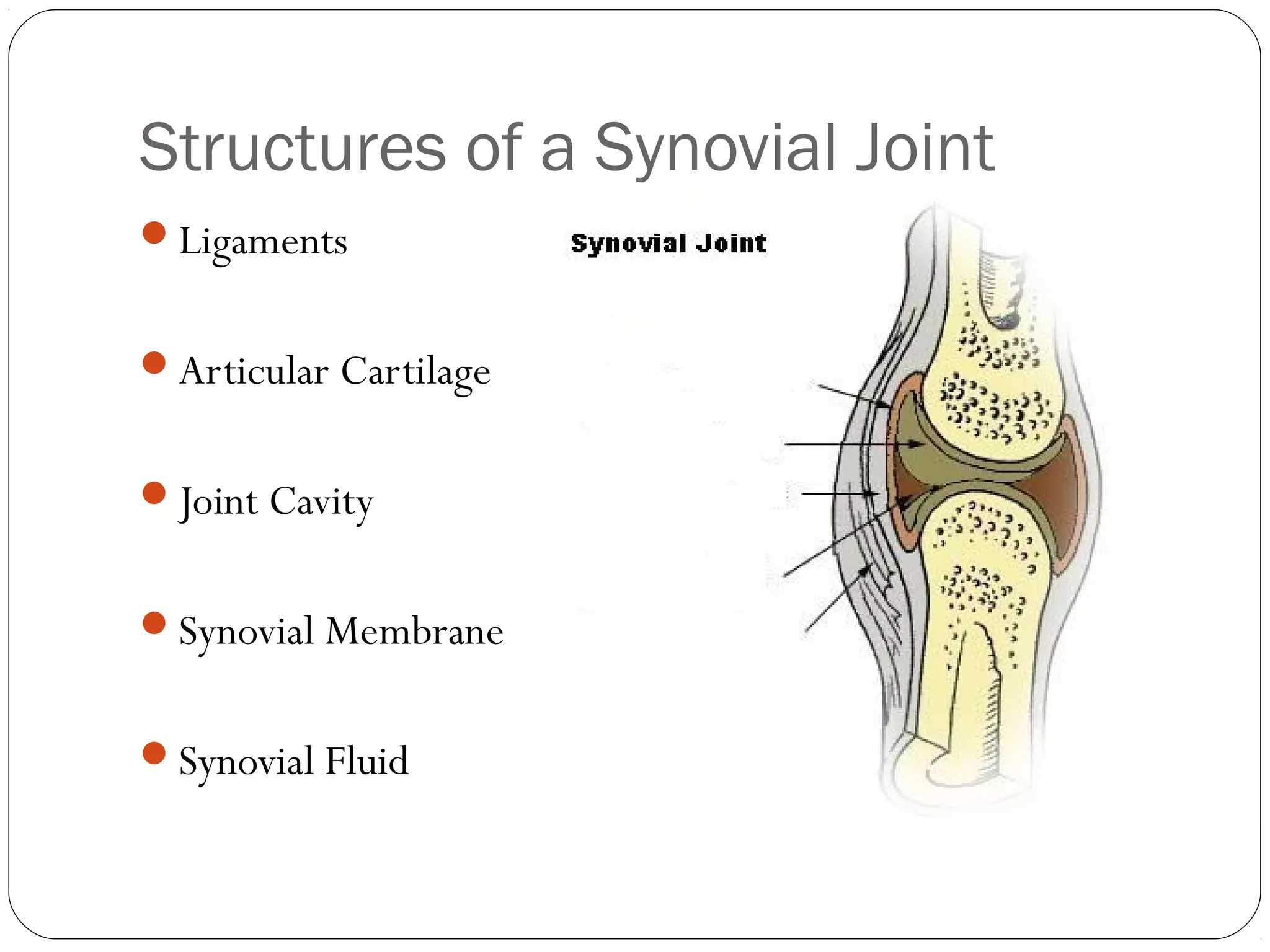 Structure of synovial joint and muscle attachment | PPT