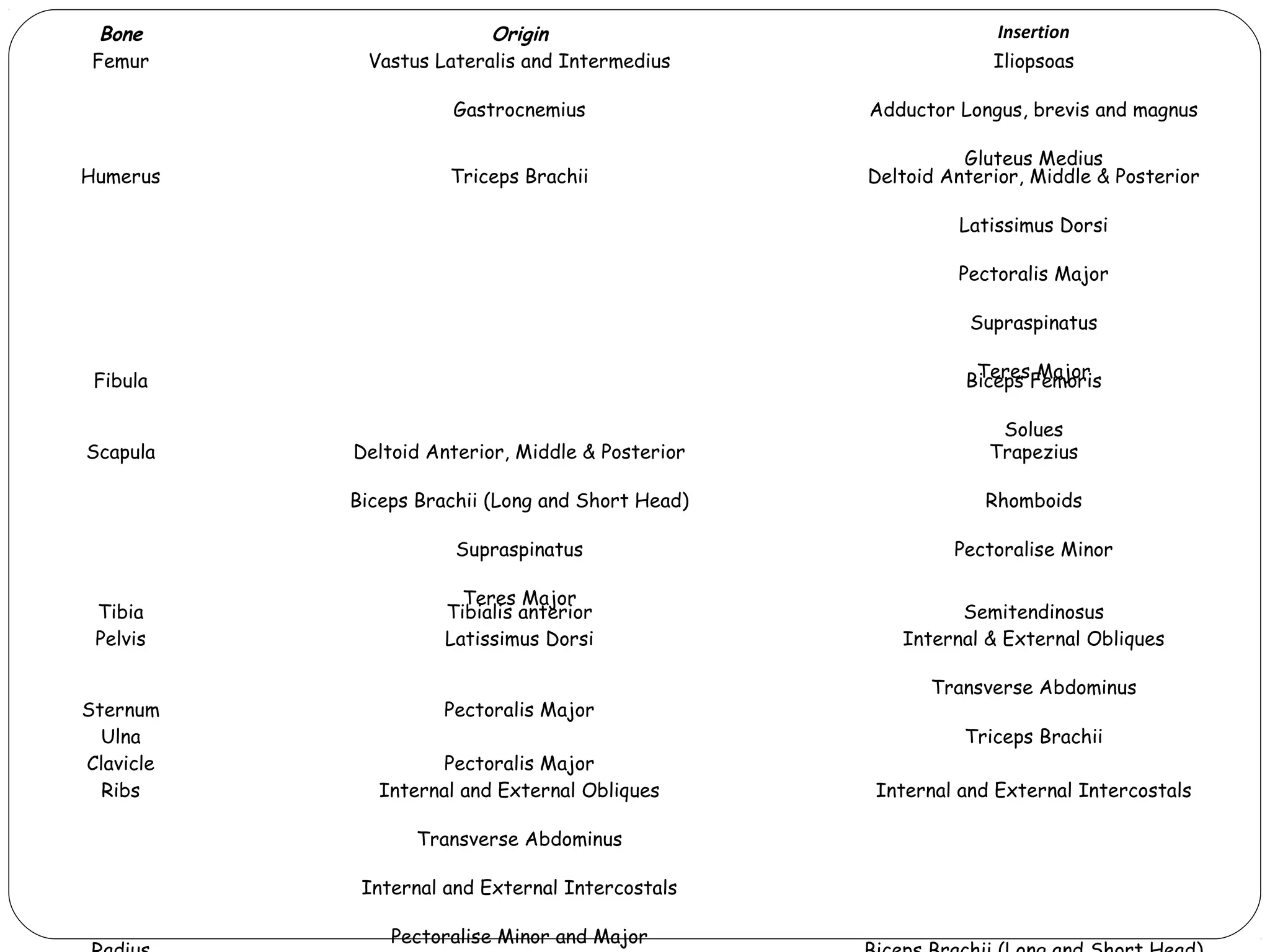 Structure of synovial joint and muscle attachment | PPT