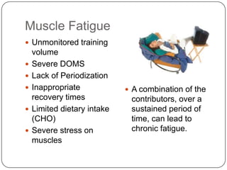 W15 overload, recovery and muscle fatigue | PPTX