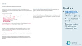 Introduction into the MSP Platform and the related service offer at the ...