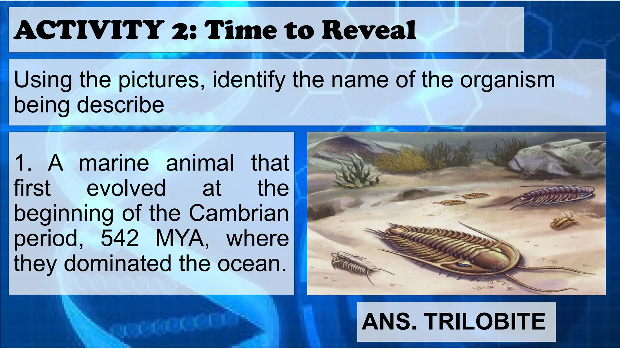 W1 Evolving Concept of Life Based on Emerging Pieces.pptx