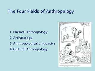 Introduction to Anthropology | PPT