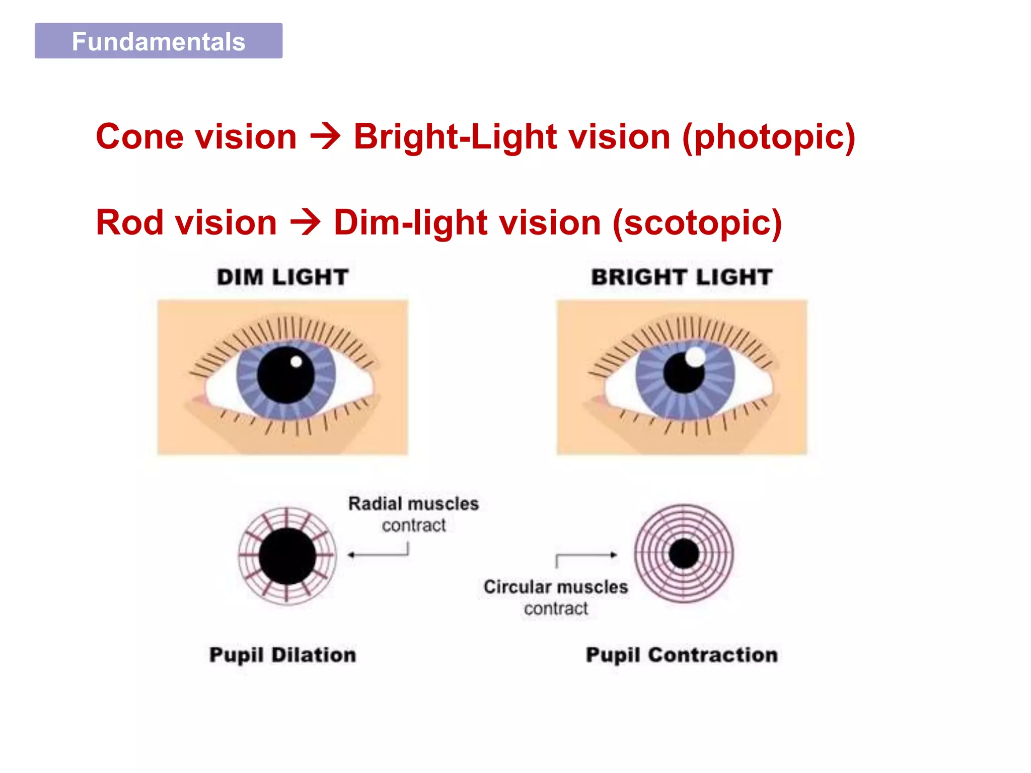 Adaptive Median Filters | PPTX