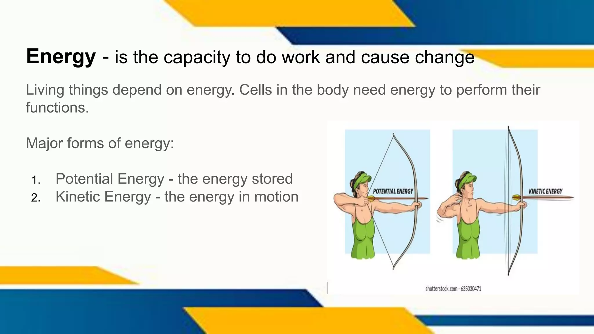 W1 PPT ATP-ADP Cycle.pdf