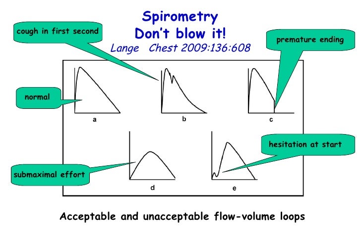 Lung function and physiology