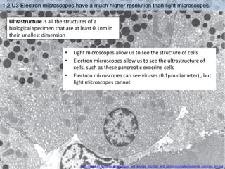 W2_1.2 Ultrastructure of Cell.pdf