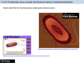 W2_1.2 Ultrastructure of Cell.pdf