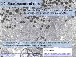 W2_1.2 Ultrastructure of Cell.pdf