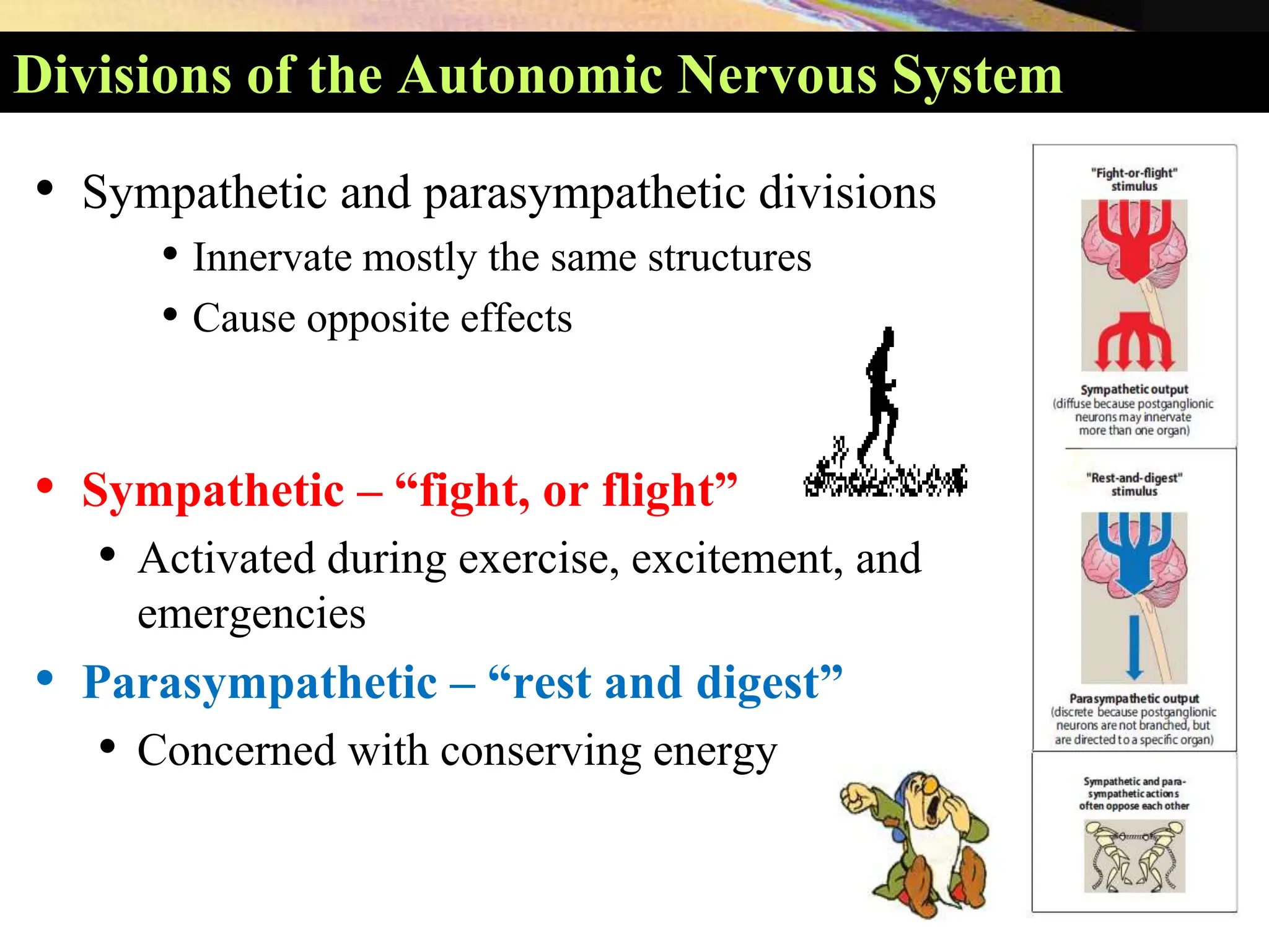 W_2_parasympathetic_agonists_antagonist_New_Nur_144360_Read_Only.pptx