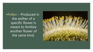 Reroductive parts in Plants | PPT