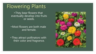 Reroductive parts in Plants | PPT