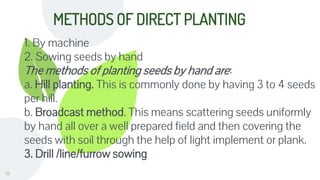 w2 ppt plantig crops.pptx | Agriculture | Industries