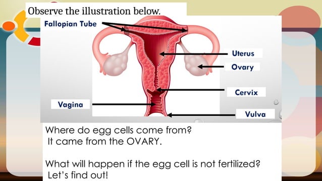 W3-SCIENCE.WEEK4.POWERPOINT.PRESENTATION | PPT