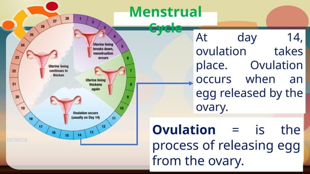 W3-SCIENCE.WEEK4.POWERPOINT.PRESENTATION | PPT