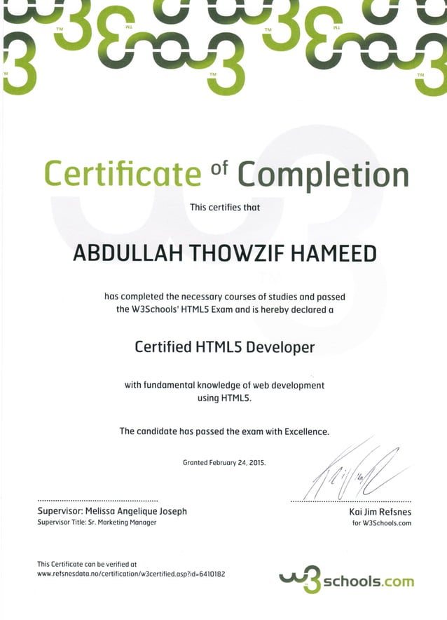 W3 Schools - Html5 Certification | PDF