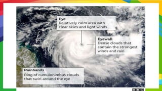 W3 Understanding Typhoons PPT.pptx