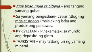 (W4-5) MGA LIKAS NA YAMAN NG ASYA.pptx