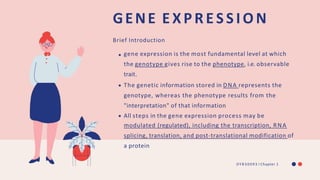 Gene Regulation is a process involved under Gene Expression | PPT