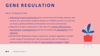 Gene Regulation is a process involved under Gene Expression | PPTX