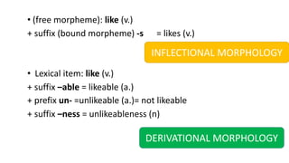 W4-INFLECTIONAL-AND-DERIVATIONAL.pdf