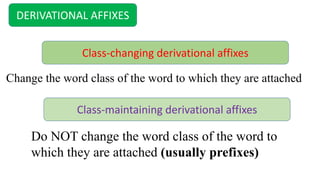 W4-INFLECTIONAL-AND-DERIVATIONAL.pdf