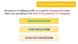 W4-INFLECTIONAL-AND-DERIVATIONAL.pdf