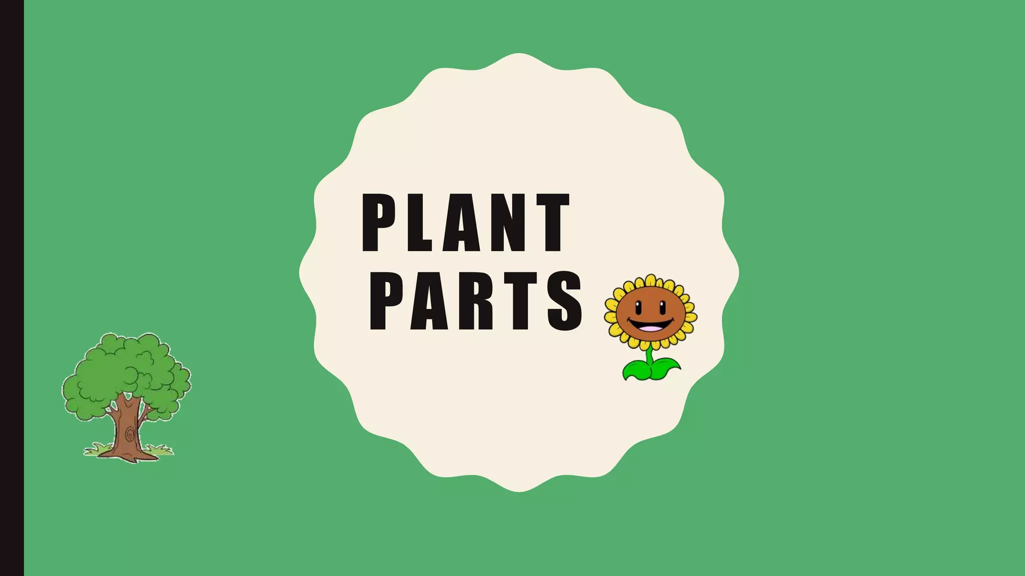 W4 (21 1 24-1) plant parts | PPTX