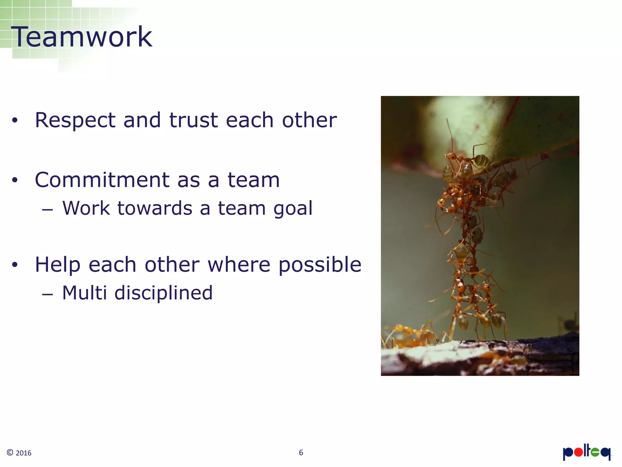 Helpful Practices in Agile Testing | PDF