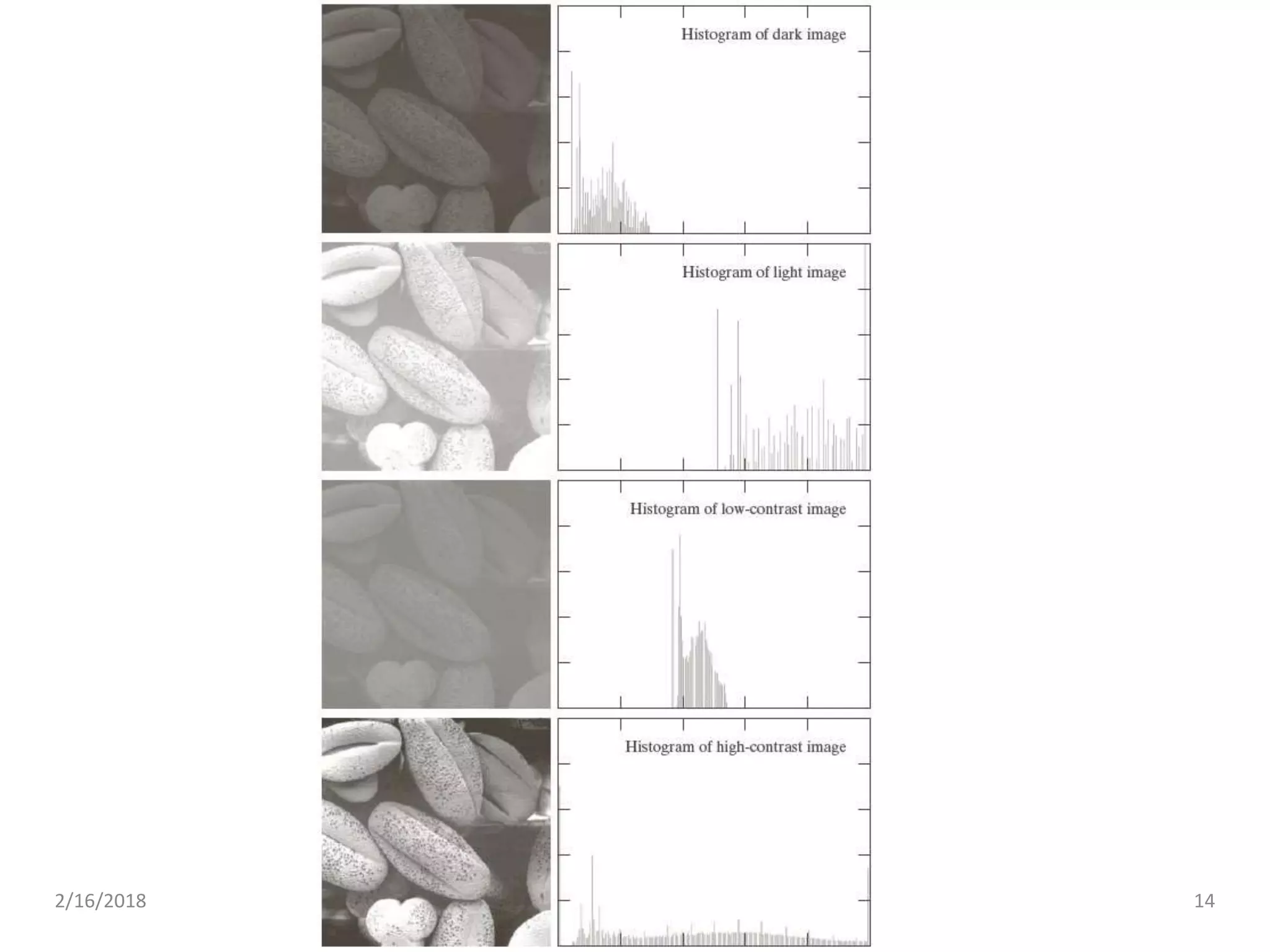 Histogram Processing | PPTX