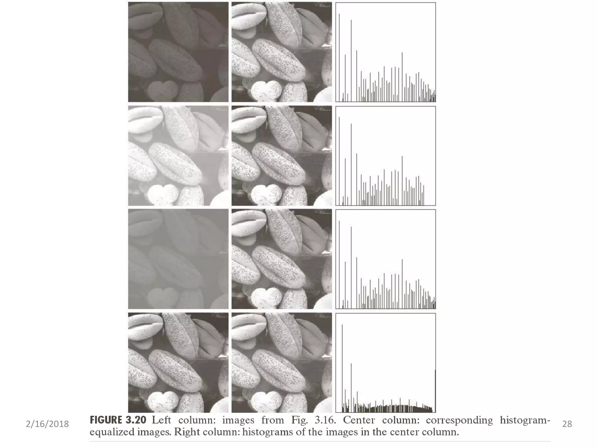 Histogram Processing | PPTX