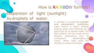 W4 Light PPT.pdf