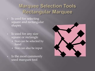 Selection Tools in Adobe Photoshop Elements | PPTX