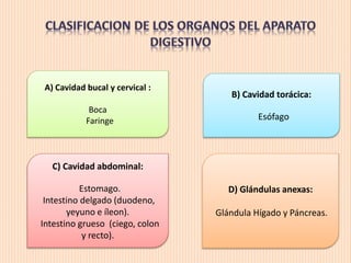 Fisiologia del sistema digestivo de los monogastricos | PPTX