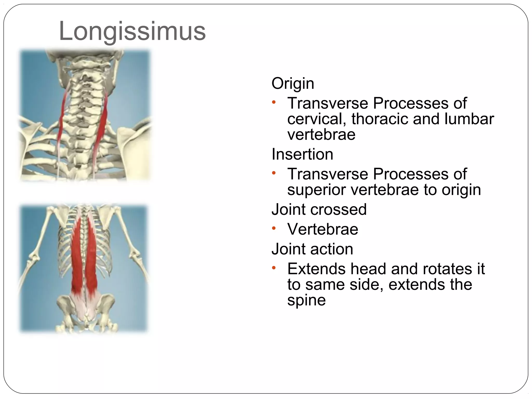 W5 posture and core stability | PPT