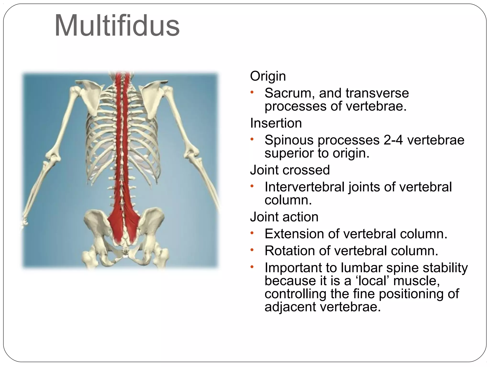 W5 posture and core stability | PPT