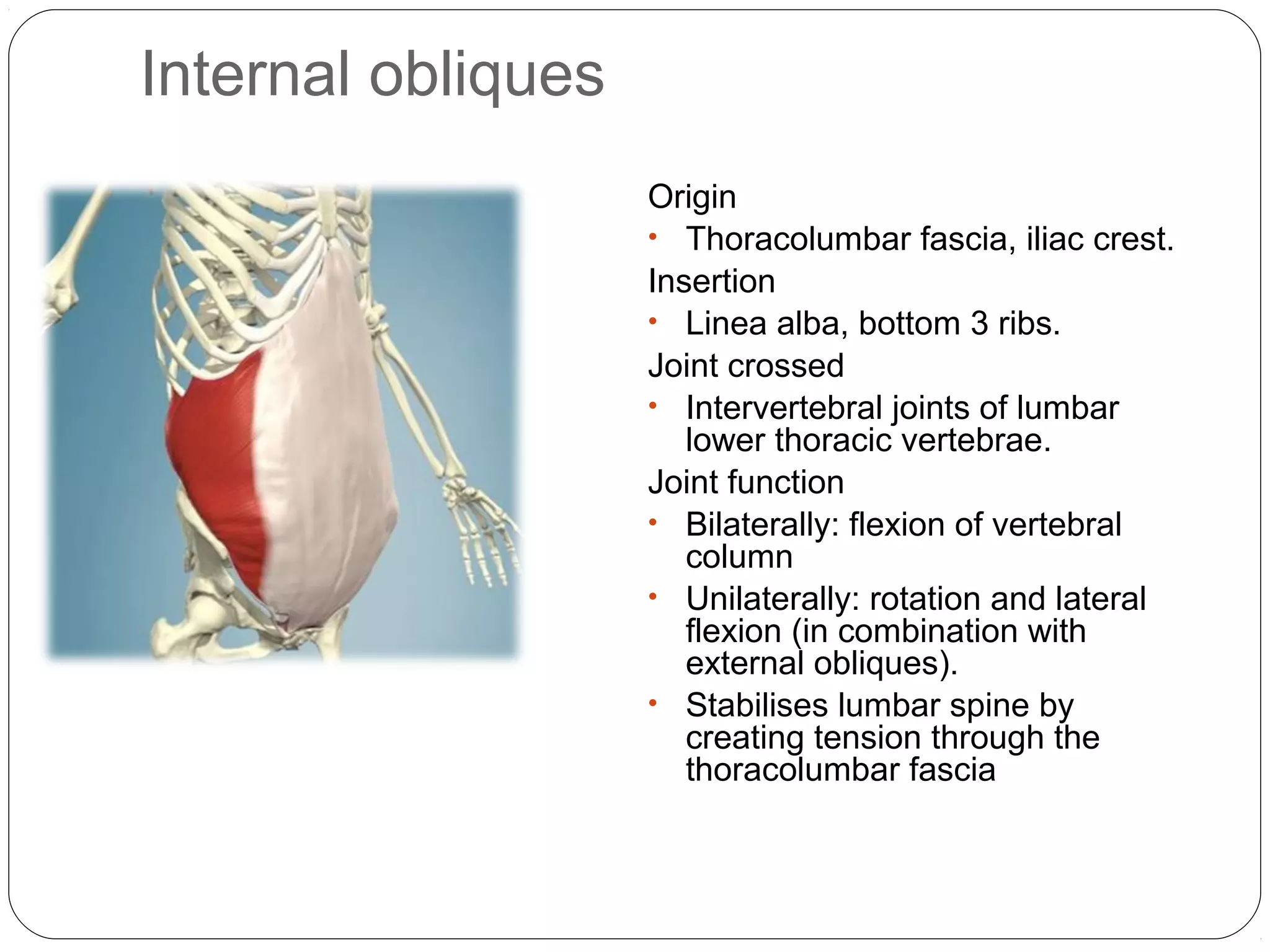 W5 posture and core stability | PPT