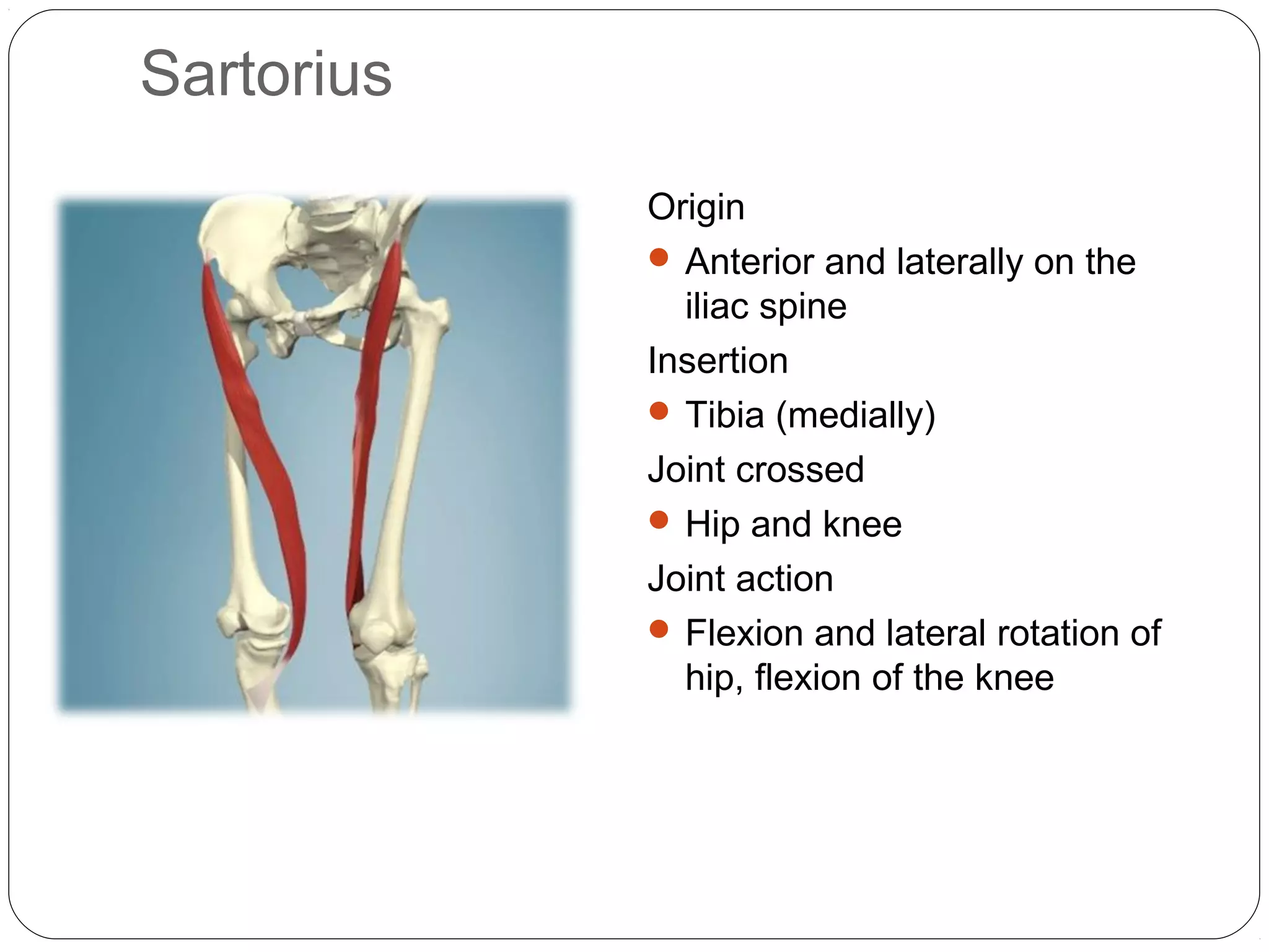 W5 posture and core stability | PPT