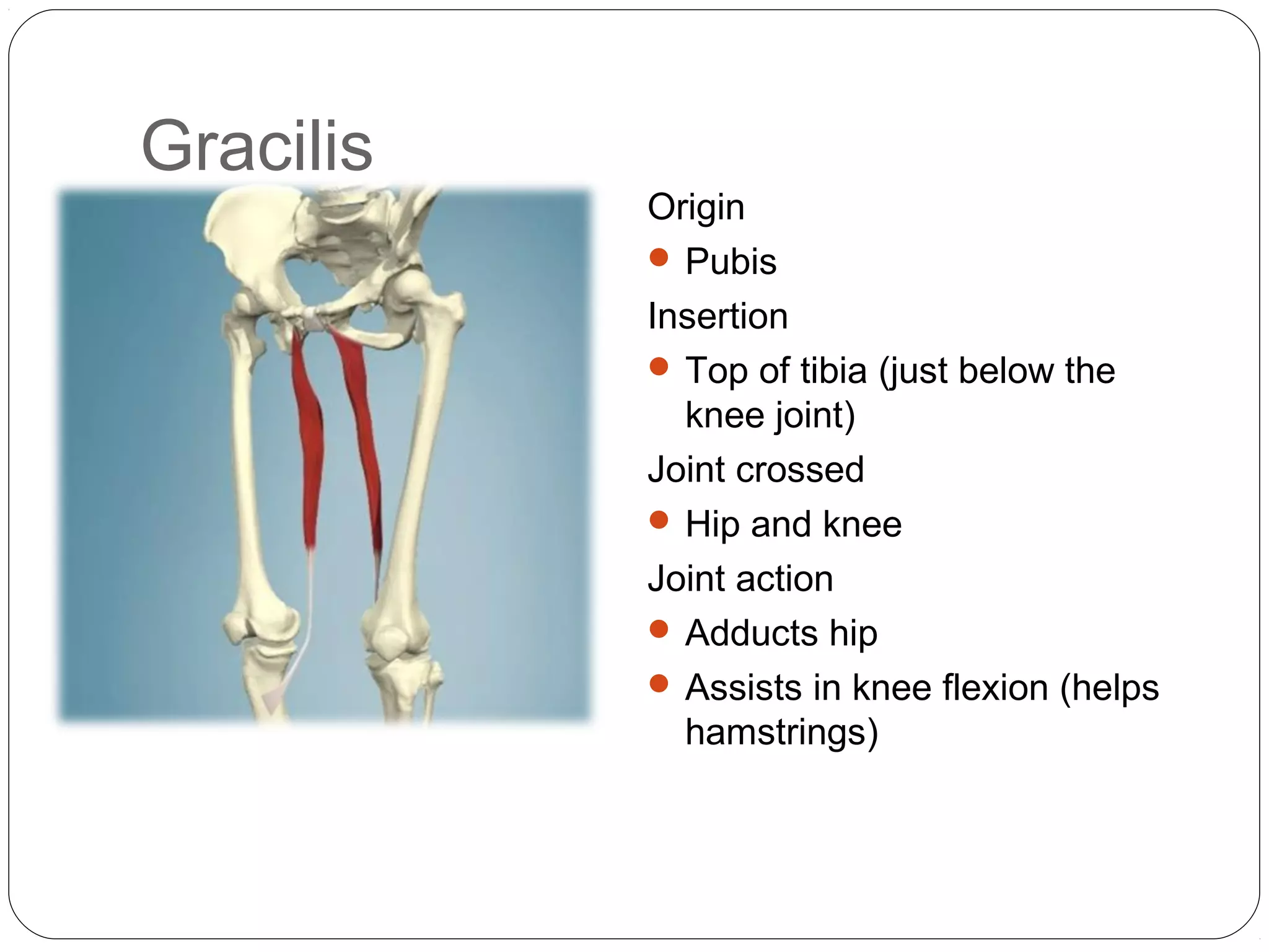 W5 posture and core stability | PPT