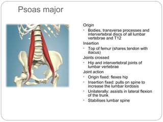 W5 posture and core stability | PPT