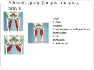 W5 posture and core stability | PPT