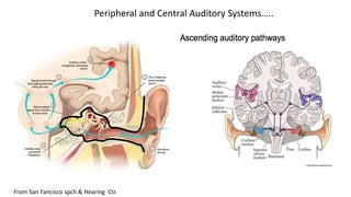 Hearing After Hemispherectomy | PPTX