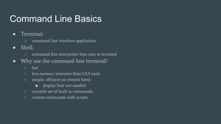 Productive bash | PPT