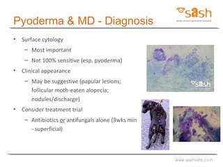 SASH : Pyoderma malodourous malassezia and fecund fleas by Dr Linda ...