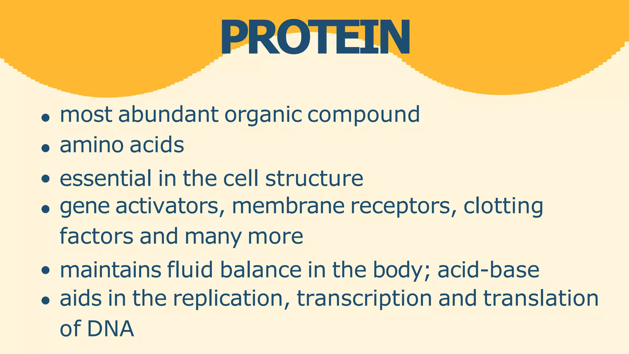 W7 Biological Molecules.pptx