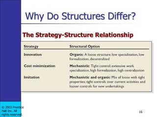 W8 organizational design design and strategy | PPTX